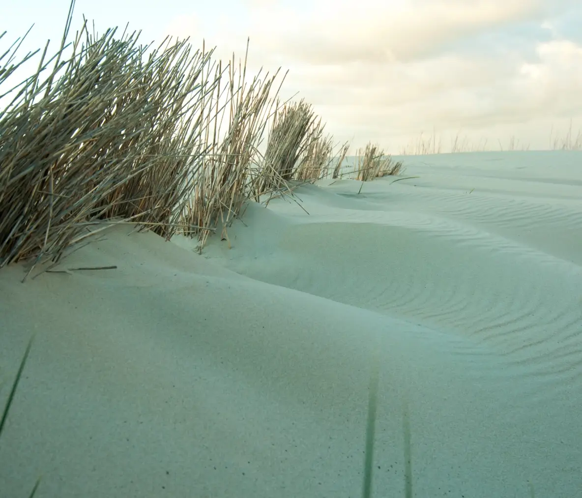 Sand Therapies | Sand Therapy Techniques by Peg Hurley Dawson, Ph.D